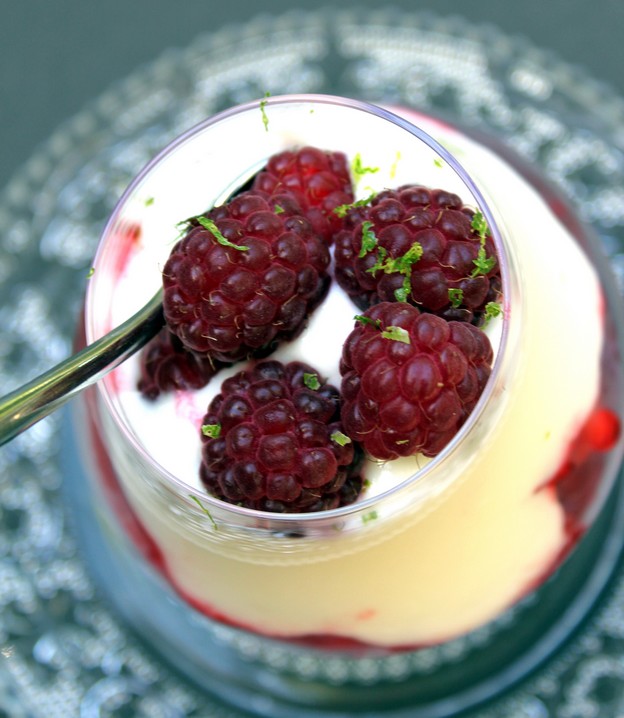 Toutes les recettes avec de la faisselle - Quelle bonne idée